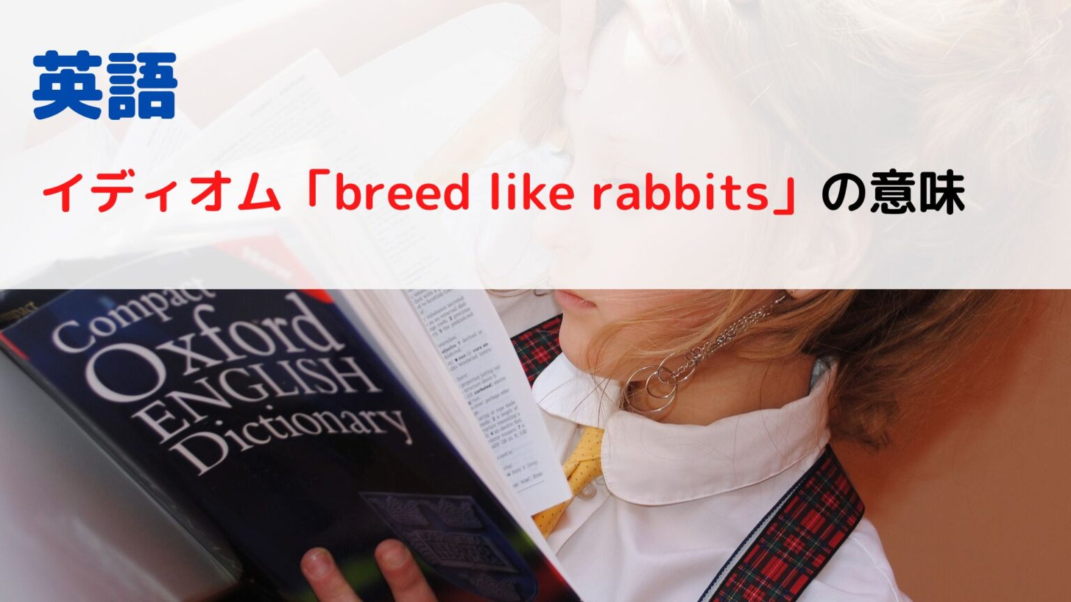 [英語]イディオム「breed like rabbits」の意味(mean) | ちょげぶろぐ