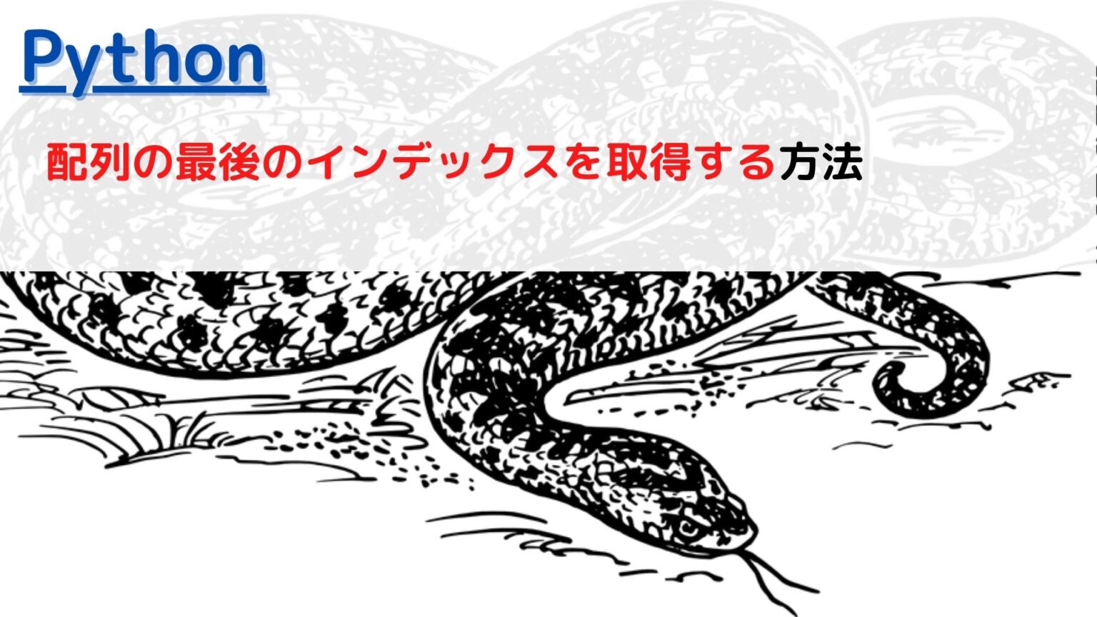 [Python]random.randint()の使い方(how to use) | ちょげぶろぐ